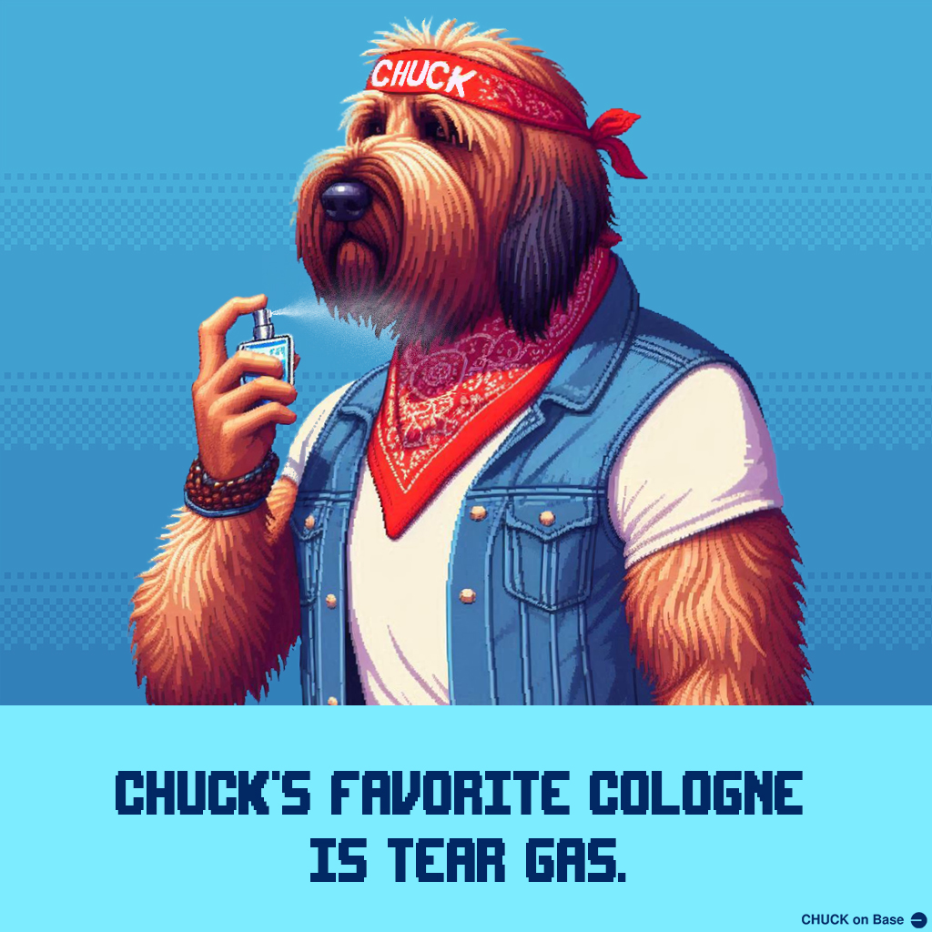 Chuck on Base | The Roundhouse Crypto Canine